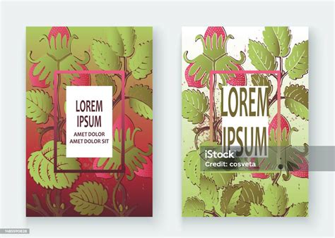 딸기 패턴 디자인 템플릿 제품 손으로 그린 레드 베리 귀여운 트렌디한 어두운 배경에 꽃이 만발한 녹지 덤불 그래픽 일러스트레이션 웨딩 초대장 포스터 카드 표지 제품 벡터 0