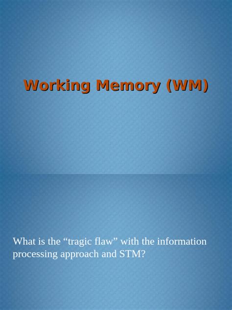 4 working memory pdf memory working memory