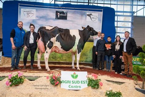 MAMELLE ADULTE ET CHAMPIONNE ADULTE | Prim’Holstein France