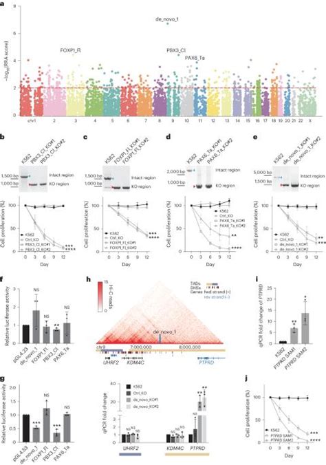 Hadi Bayat On Linkedin Genome Wide Cas9 Mediated Screening Of Essential Non Coding Regulatory…