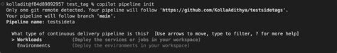 Copilot Pipeline Build Steps · Issue 5022 · Awscopilot Cli · Github
