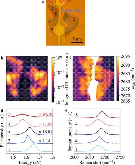 Figure 1 From Symmetry Dependent Dielectric Screening Of Optical Phonons In Monolayer Graphene