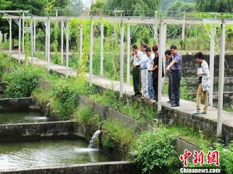 浙江开化致力人才腾飞 “乡土专家”成“领头雁”凤凰网