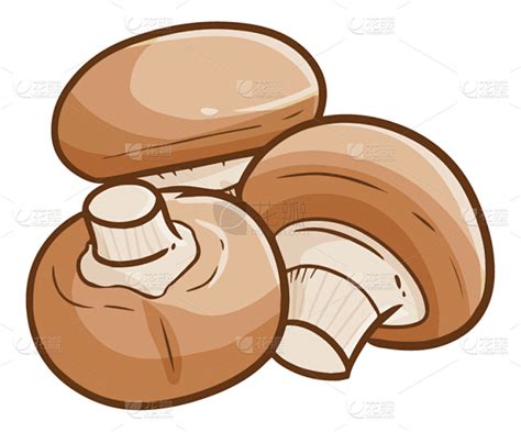 简单 可爱的 湿 蔬菜 清新 自然界的状态 背景分离 食品 从容态度 成分