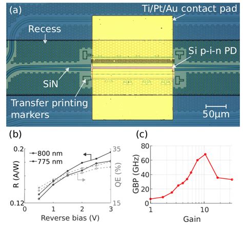 A Micrograph Of A Micro Transfer Printed And Postprocessed Pd On The Download Scientific