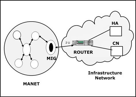 Basic Model Of The Connectivity Framework Download Scientific Diagram