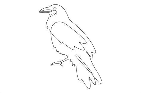 Premium Vector Crow Design In One Continuous Line Art Drawing Vector