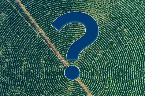 Eudr Geolocation Data Challenges And Best Practices Blog Optel
