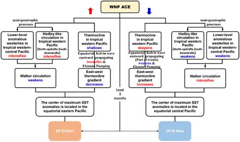 Schematic Diagram Of Modulation Of The El Niño Diversity By Wnp Tcs Download Scientific Diagram