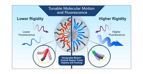 Tuning Molecular Motion Enhances Intrinsic Fluorescence In Peptide