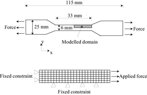 Selected Domain And Finite Element Model Of The Specimen For Tensile Test Download Scientific