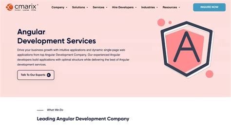 Explore Top Angular Development Companies In US