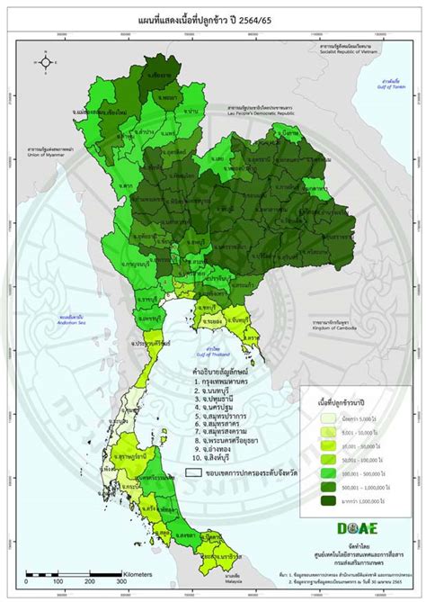 แผนที่แสดงเนื้อที่ปลูกข้าวนาปี ปี 2564 65 Gis