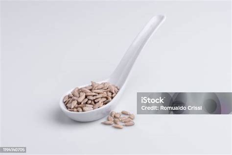 흰색 배경에 고립 된 껍질을 벗긴 해바라기 씨앗 부드러운 빛 스튜디오 샷 복사 공간 갈색에 대한 스톡 사진 및 기타 이미지 갈색 건조한 구이 Istock