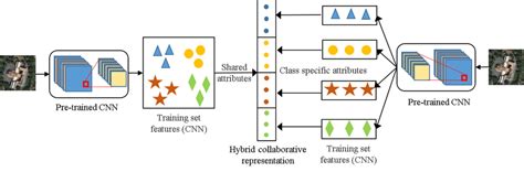 Scheme Of Our Proposed Hybrid Collaborative Representation Algorithm
