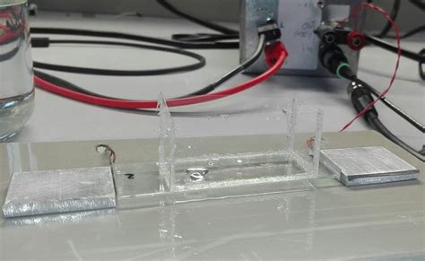 Surface Acoustic Wave Sensor For Early Detection Of Biofilms Formation