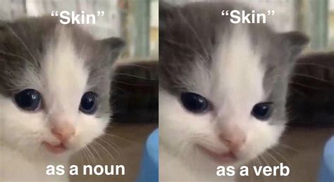 Cat Kitty Cat Scrolller