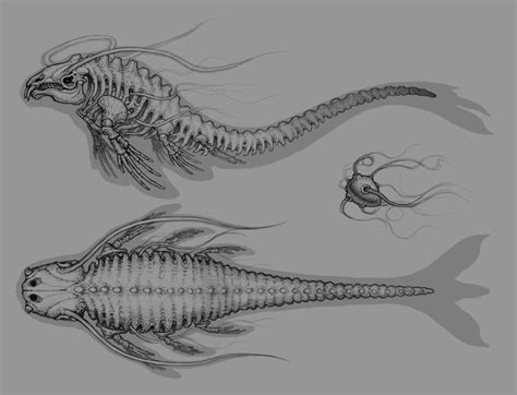 ~ Bakekujira ~ Done For Loot Taverns Ryokos Guide To The Yokai Realms Ryan Mccowan