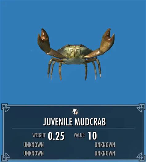 Juvenile Mudcrab Legacy Of The Dragonborn Fandom
