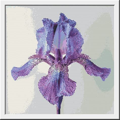 Iris Flower Cross Stitch Pattern Pdf Modern Stitch Pattern Cross Stitch Art Digital Download