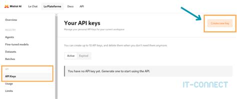 Guide Pour Utiliser Lapi De Mistral Ai En Python