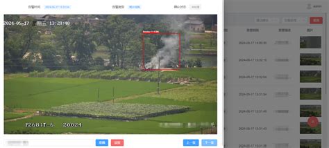 视频智能分析平台liteaiserver烟火识别软件预警火灾 算法 检测