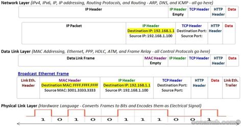 Understanding Ethernet Mac Addresses Ccna Hub
