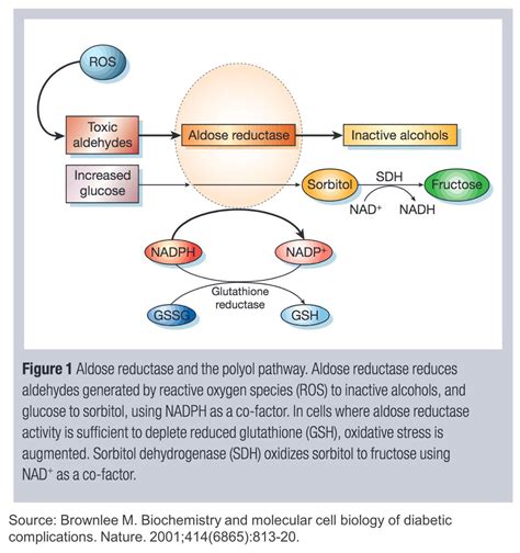 Sorbitol Pathway