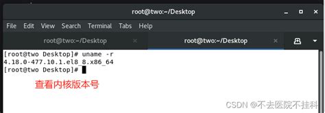 Linux操作系统的引导修复 Csdn博客