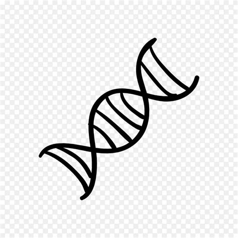 Dna双螺旋结构手绘 第8页 大山谷图库