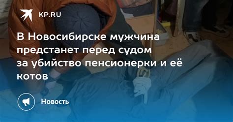 В Новосибирске мужчина предстанет перед судом за убийство пенсионерки и её котов Kp Ru