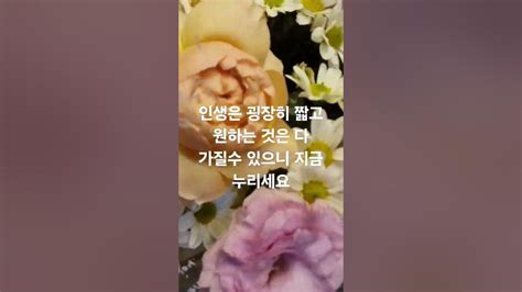 진해성 안성훈 Shorts 애인이 되어 줄게요 트로트 현역가왕2 Youtube