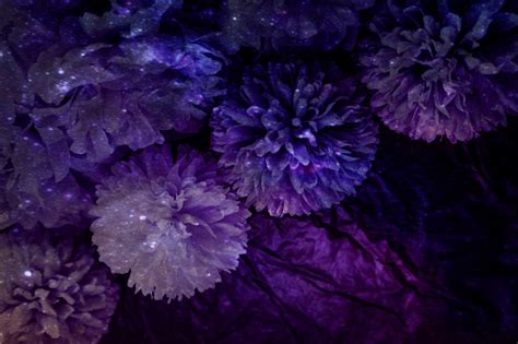 검은 배경과 파란색 그래픽 꽃 프레임과 분홍색 잎 질감 보라색 배경 화려한 그래픽 배너 행복 발렌타인 데이에 아름다운 추상 색상 파란색과 보라색 꽃 0명에 대한 스톡 사진