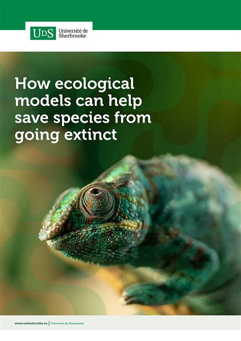 How Ecological Models Can Help Save Species From Going Extinct