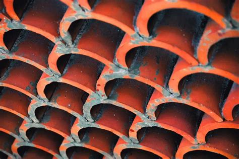 Nucleoid What Is Function And Structure Evidence Network