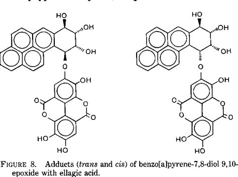 Figure 2 From Chemical Constituents Of Peppers Piper Spp And Application To Food Preservation