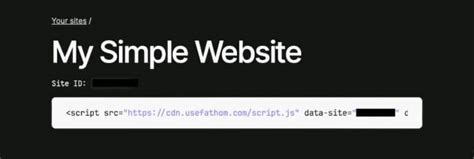 Streamline Your Wordpress Analytics With Fathom Analytics Kinsta®