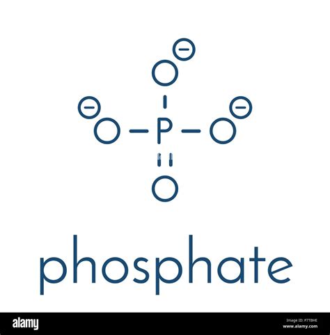 Phosphoryl Group