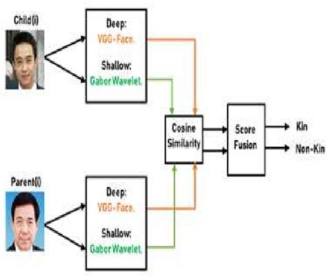 Figure 4 From Face Kinship Verification Based Vgg16 And New Gabor Wavelet Features Semantic