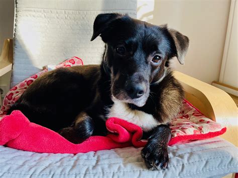 Docker Captains Take 5 — Thorsten Hans Docker