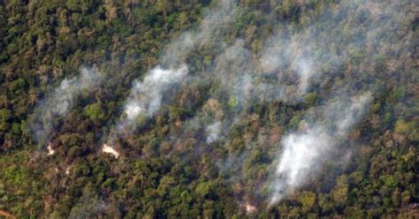 Honduras Ha Perdido 40433 Hectáreas De Bosques En 820 Incendios En 2019
