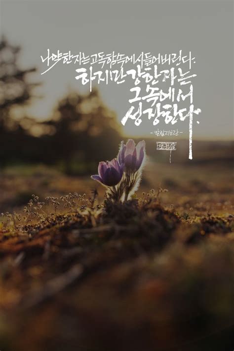 공부자극글귀 하지만강한자는 스터디 플래너 삶의 교훈 인용구 현명 인용구