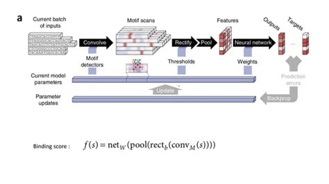 Bioinformaticspptx