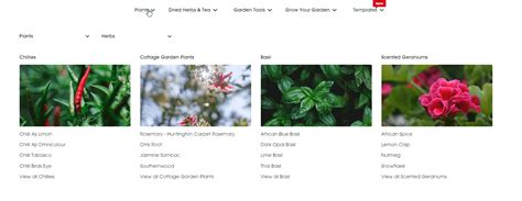 How To Add A Drop Down Menu In Shopify No Coding Required