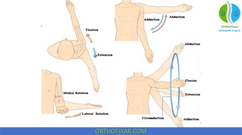 Shoulder Examination Easy Tutorial Orthofixar 2025