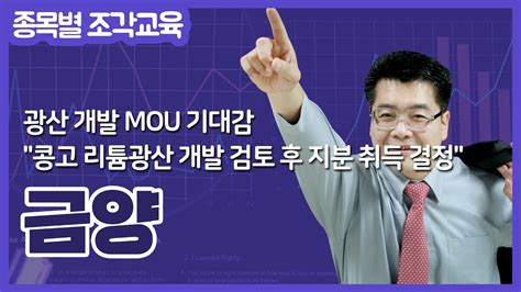 금양 종목 특별교육 광산 개발 Mou 기대감 And 콩고 리튬광산 개발 검토 후 지분 취득 결정 Youtube