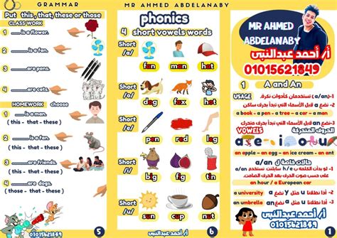 قاموس كلمات اللغة الانجليزية المصور للصف الأول الابتدائي 2024 Pdf