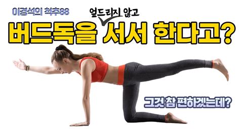 초간단 코어 근육 강화 운동 언제 어디서나 할 수 있는 ‘서서 하는 버드독 이경석의 척추88 167 코어운동 버드독 Youtube