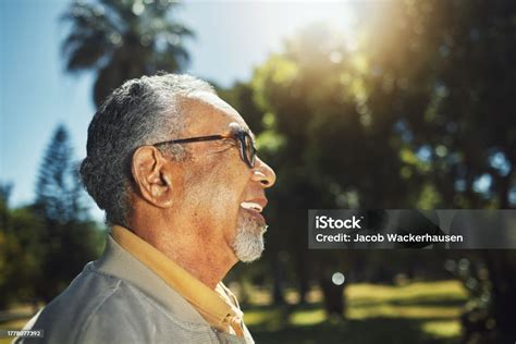 행복한 프로필 및 노인 공원 자연 및 야외 모험 은퇴 휴일 또는 햇빛 휴가 노인 여름의 행복과 미소 숲이나 숲이 건강합니다 옆모습에 대한 스톡 사진 및 기타 이미지 Istock