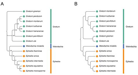 Comparative Analysis Of The Codon Usage Pattern In The Chloroplast